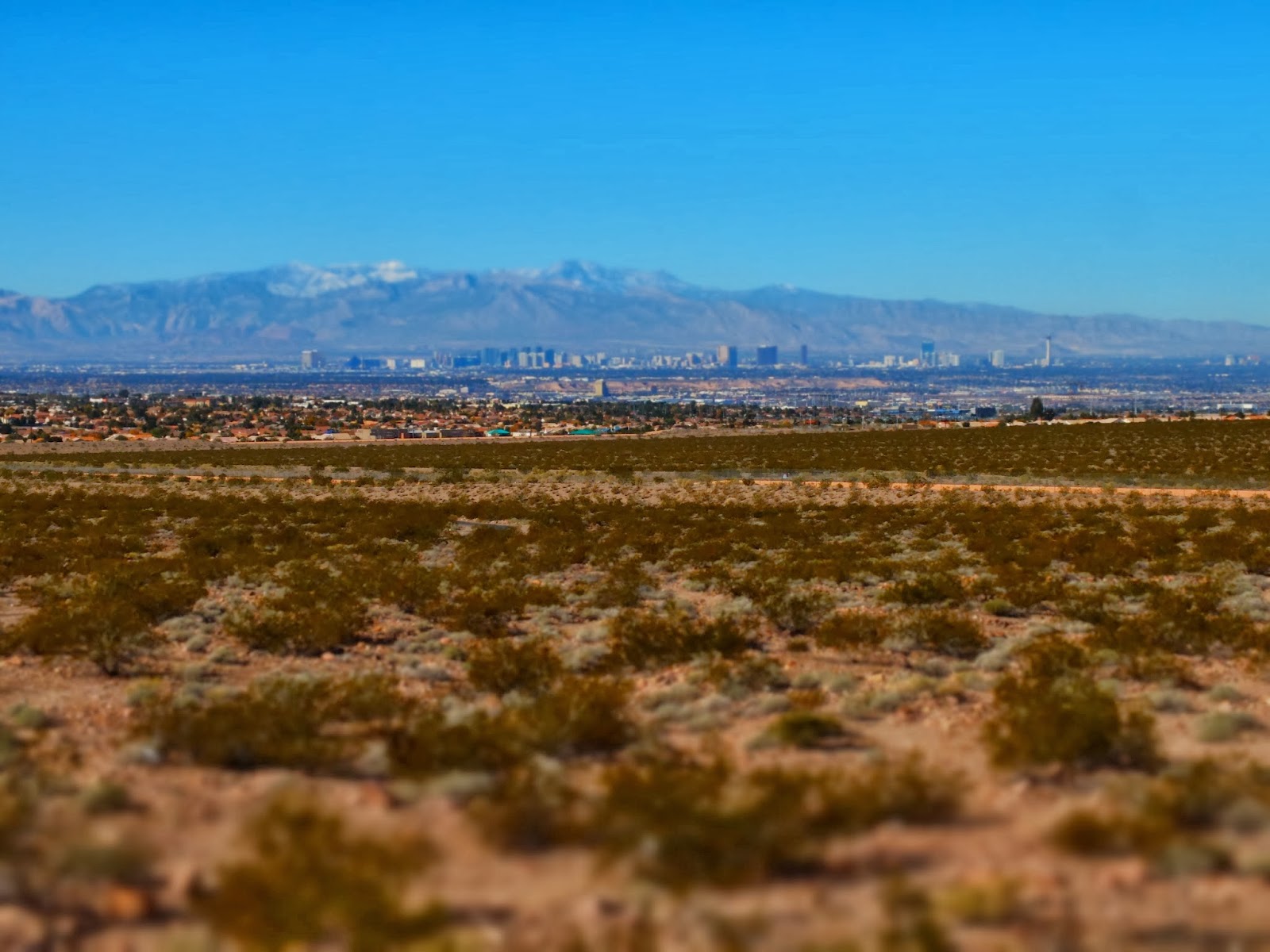 TravelMarx: River Mountains Loop Trail