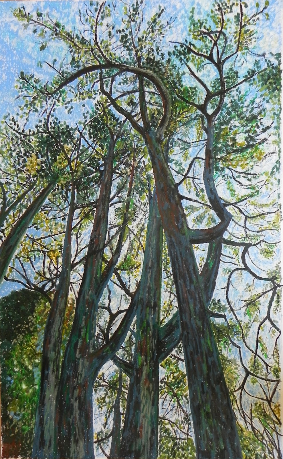 Mary Beauchamp - Art