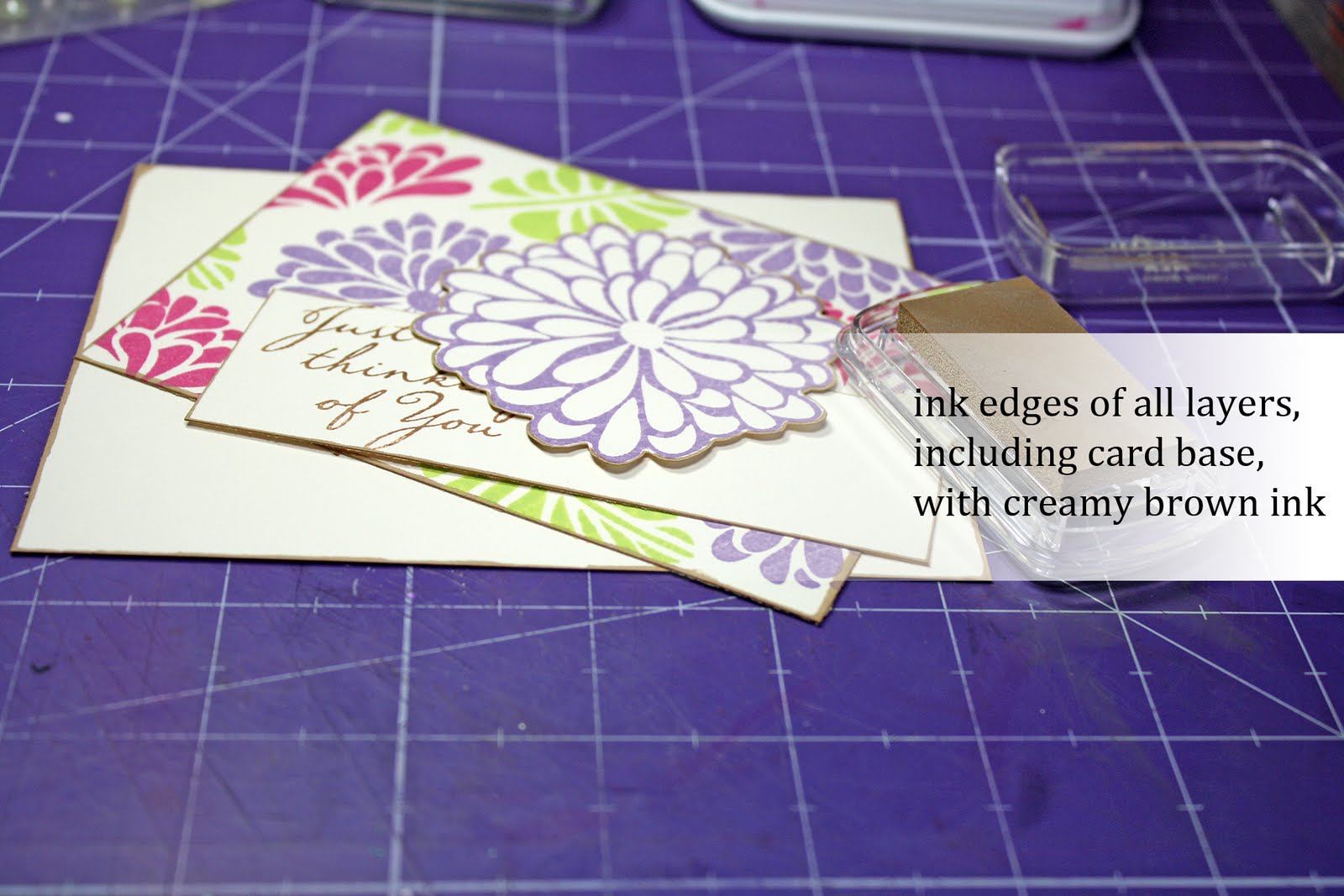 My Pink Mexico: Picture Tutorial: Colorbox Chalk Inks & Hero Arts Stamps