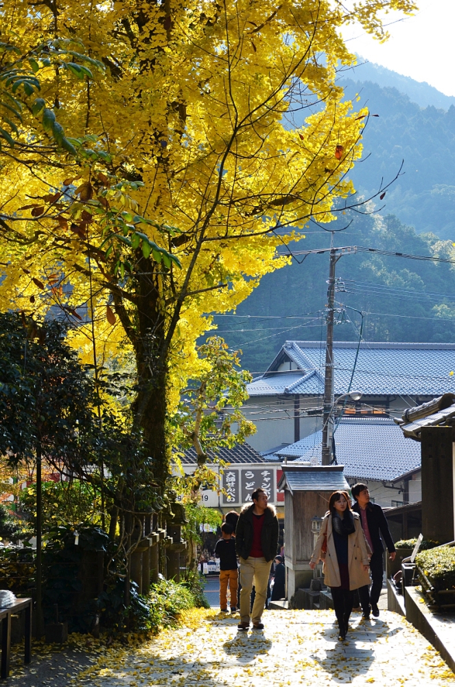 Endless Traveling Map: 7 Places to See Autumn Leaves in Kyushu, Japan