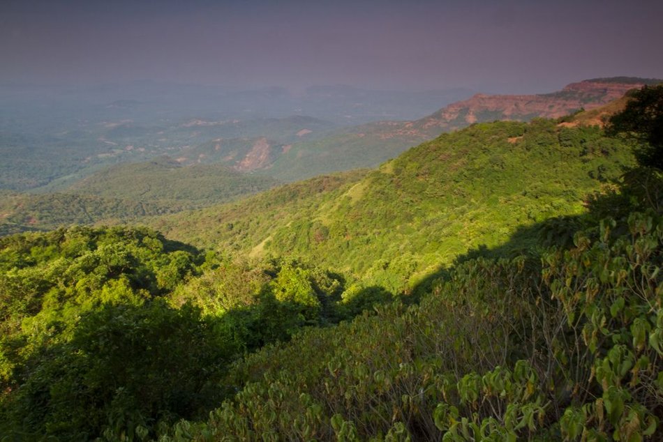 Photo of the day: Agumbe - Treasure of the Western Ghats
