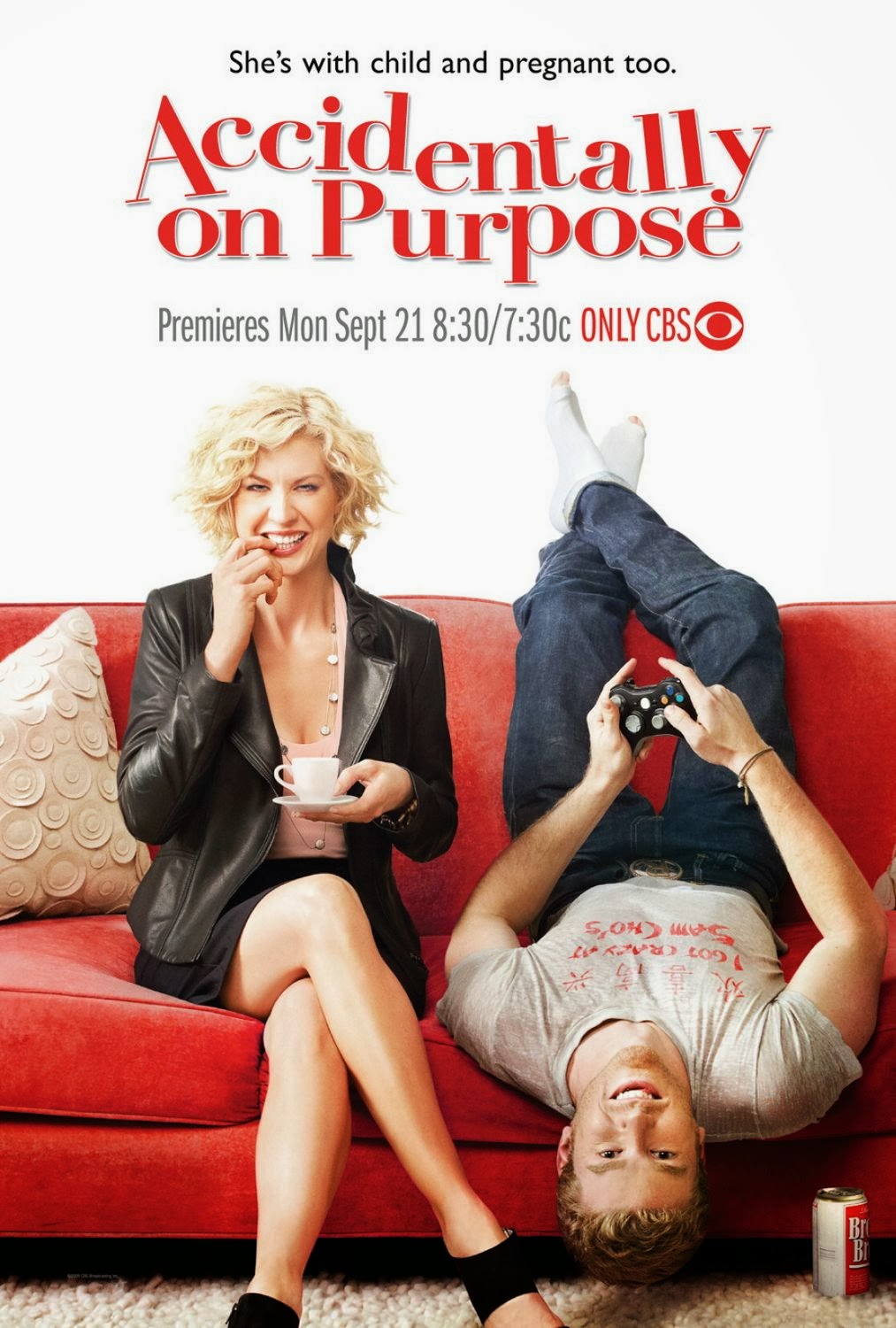 Accidentally on Purpose Story | Tv Series All Poster