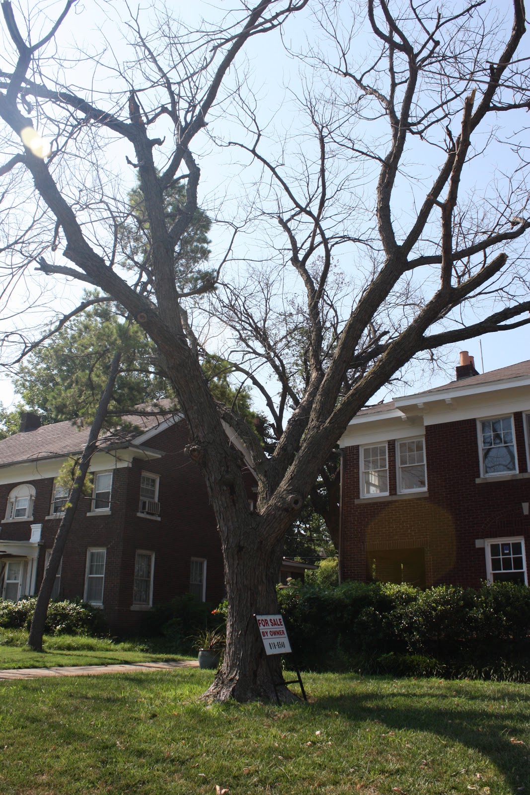 sixtwelvesixteenth: Dead as a doornail