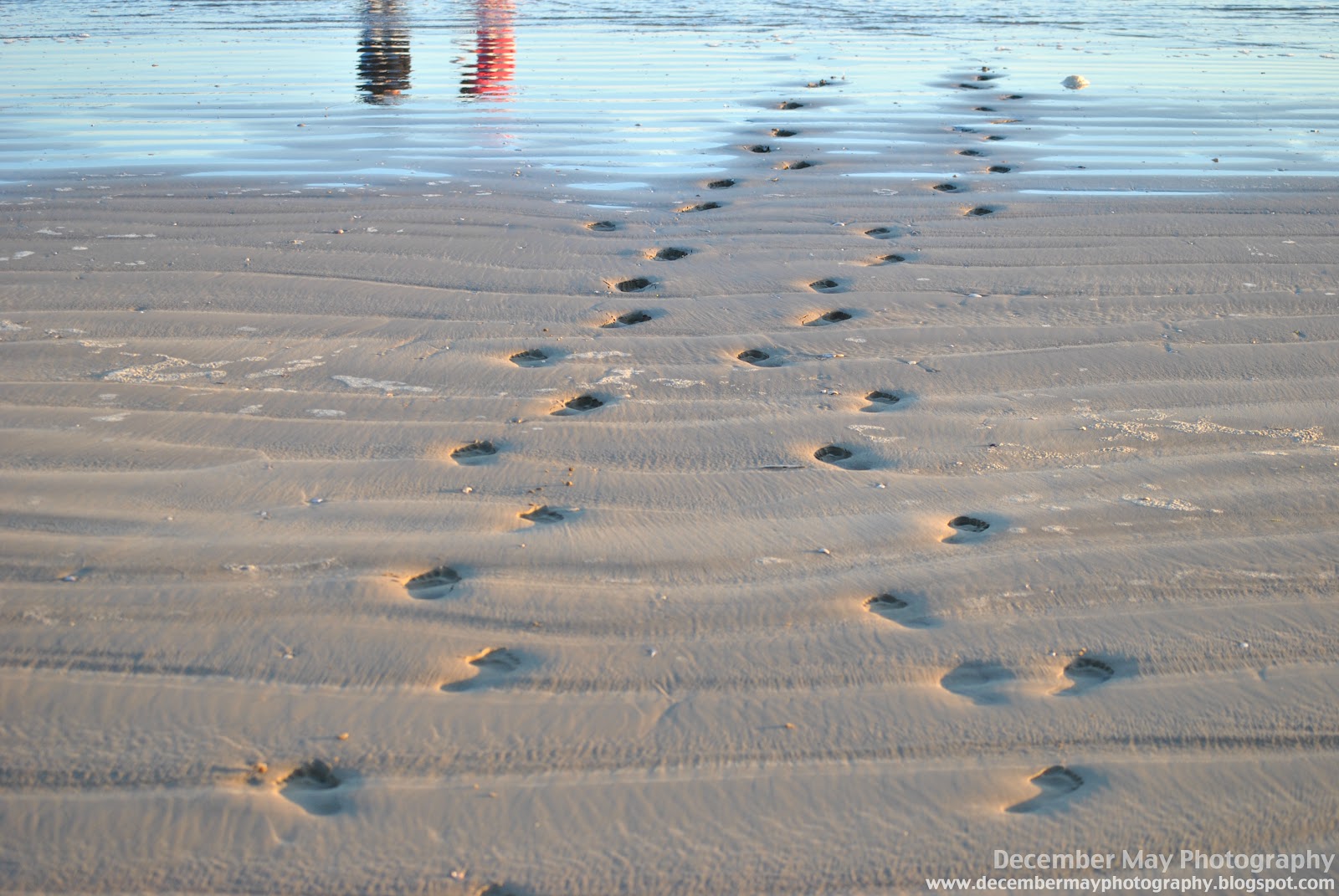 December May Photography