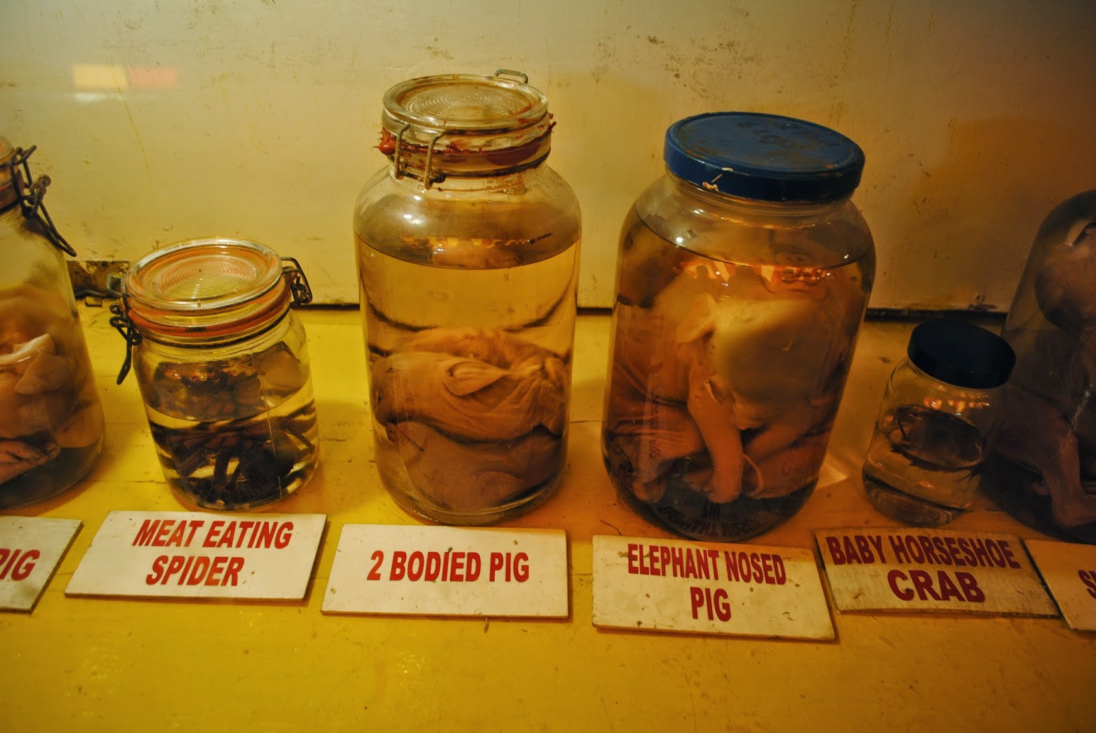 The Carpetbagger: October 2014