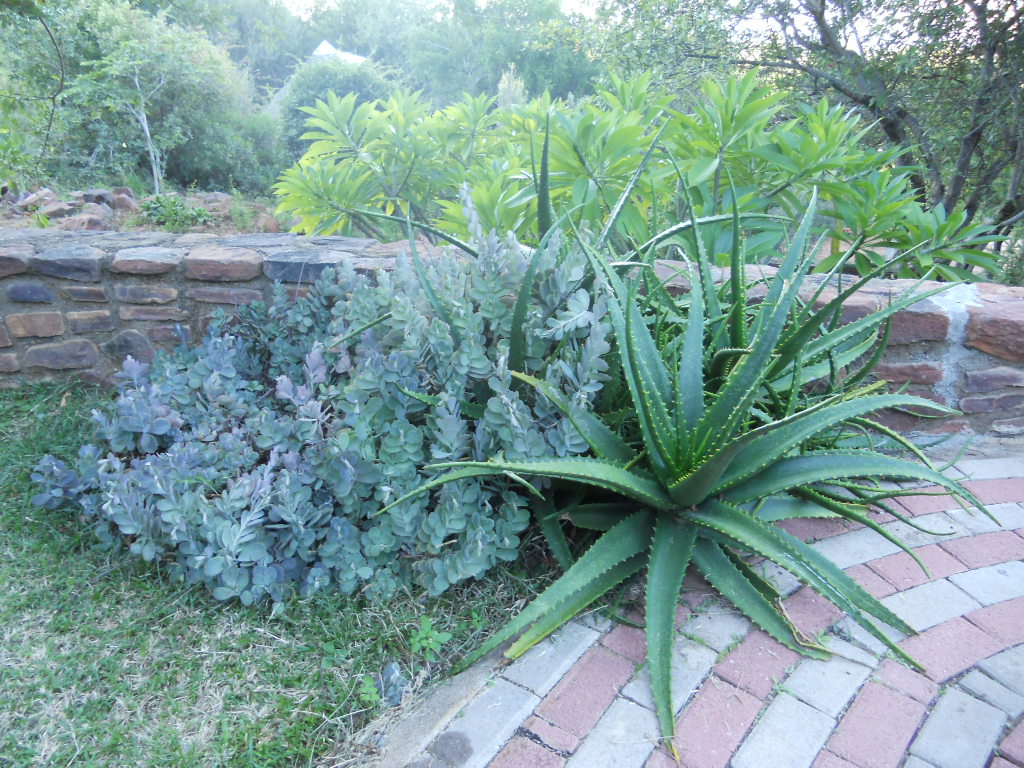 Beautiful Botswana: Gabane Village