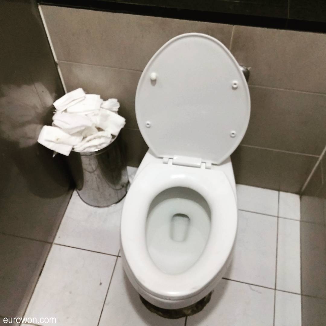 Algunas curiosidades sobre los retretes coreanos [Eurowon]