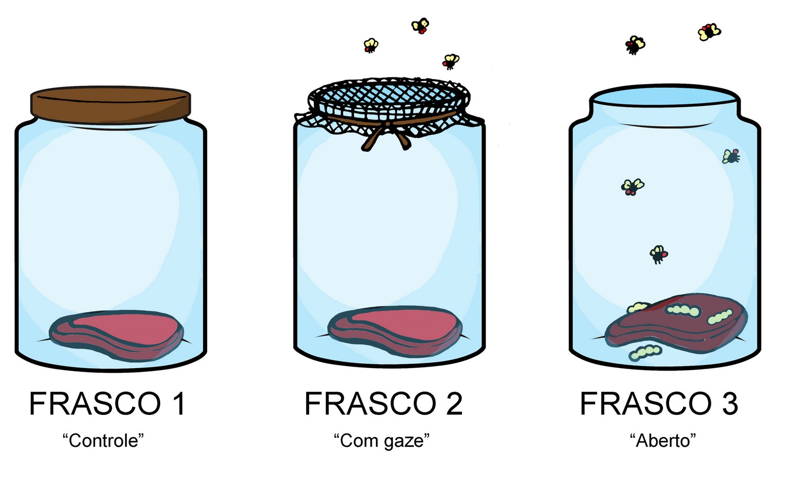 La naturaleza día a día : Teoría Biogénesis