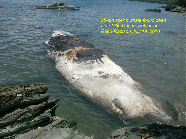 SAVE RAPU-RAPU. SAVE OUR FUTURE.: Revisiting the Marinduque mining disaster