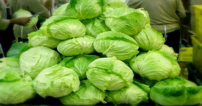 Hasil yang Tak Disangka Hanya dengan Tempelkan Kubis di Bagian Tubuh ...