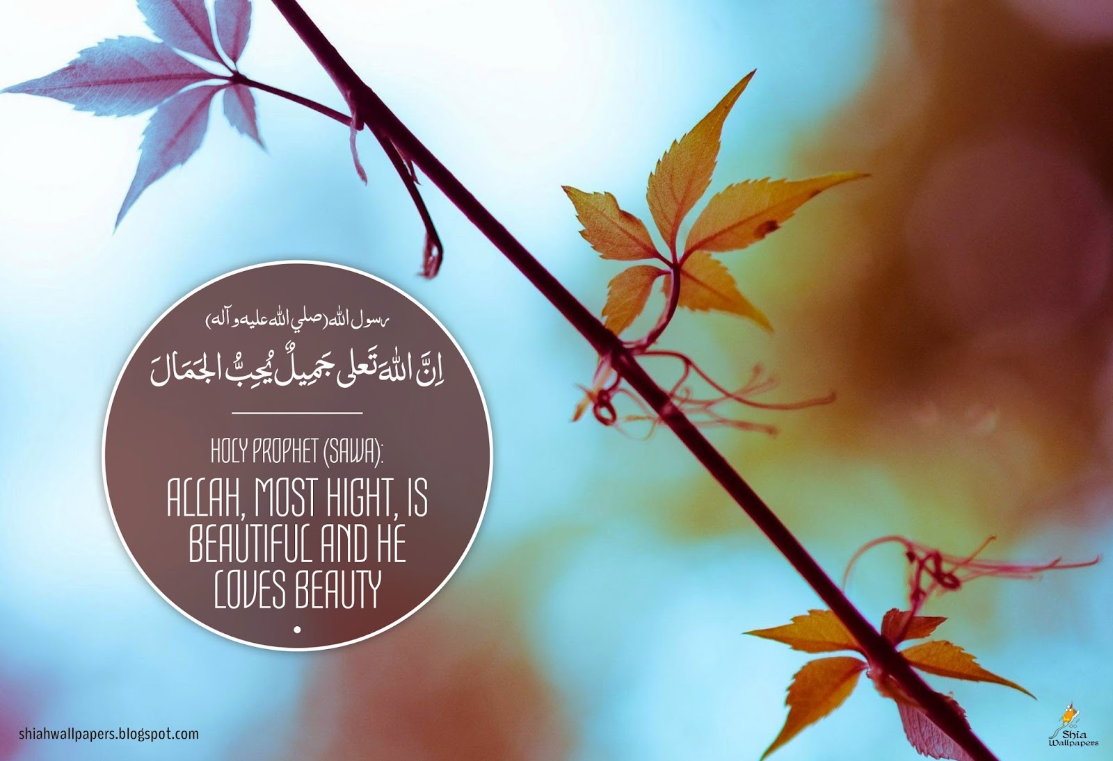Shia Wallpapers: Allah(swt) is Beautiful