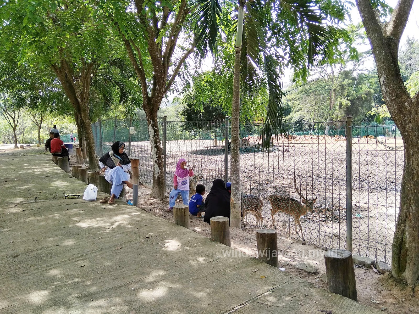 Wisata Gratis Taman Rusa Sekupang Batam - Winda Wijayanti