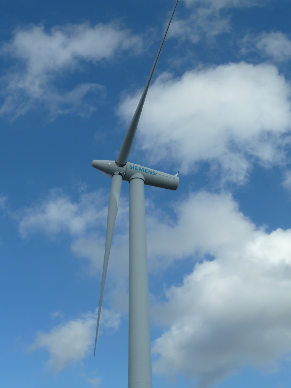 Jess and Scott move to Denmark: Life in Vejle- Week One.