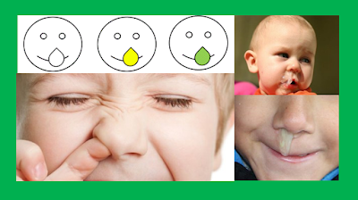 Conoce la diferencia entre el MOCO VERDE y AMARILLO. Aprende a tratar ...