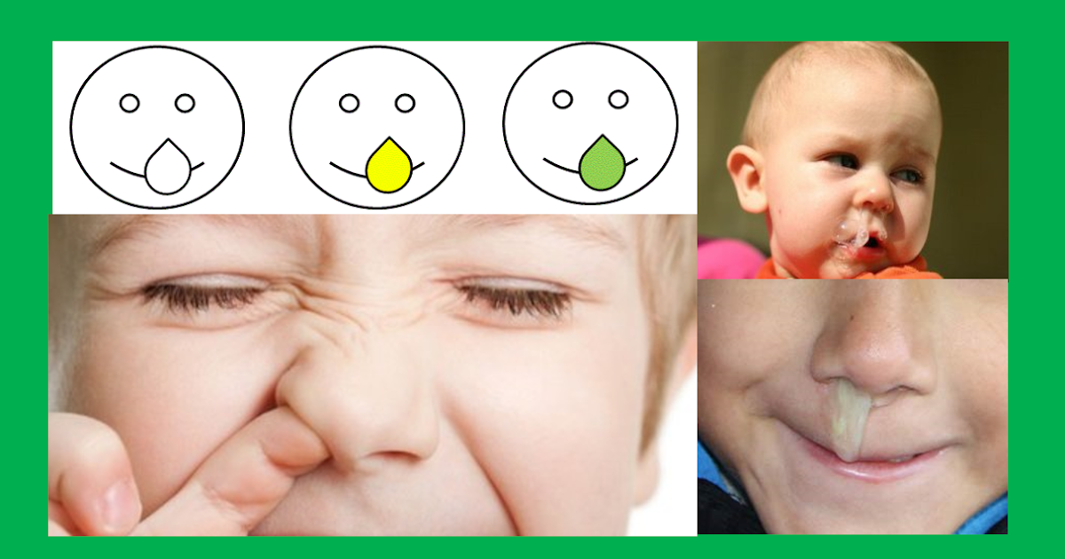 Conoce la diferencia entre el MOCO VERDE y AMARILLO. Aprende a tratar ...