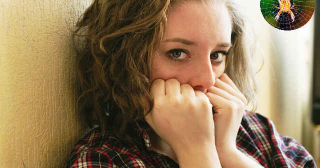 Que es ???: Que es; Aracnofobia