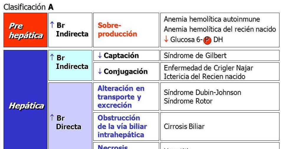 ICTERICIA: Aprende sus generalidades, causas, manifestaciones clínicas, laboratorio y ...