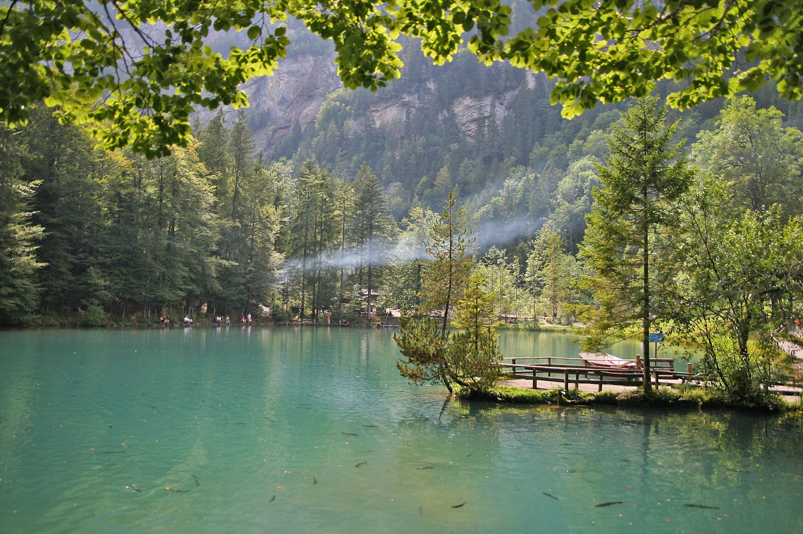 Journal of Life: Day 6 - Blausee