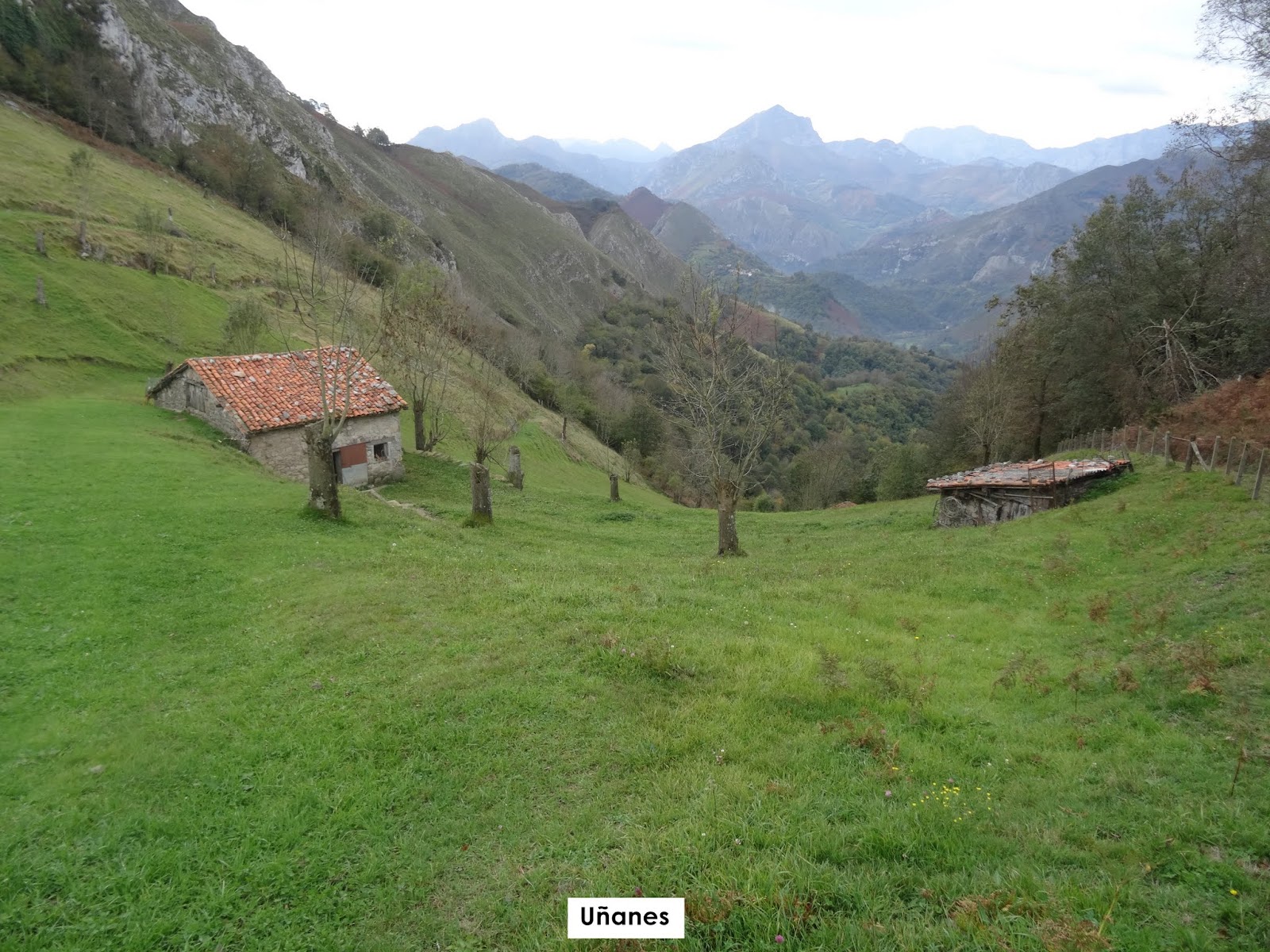 Pindio, pindio: Tornín-Següencu
