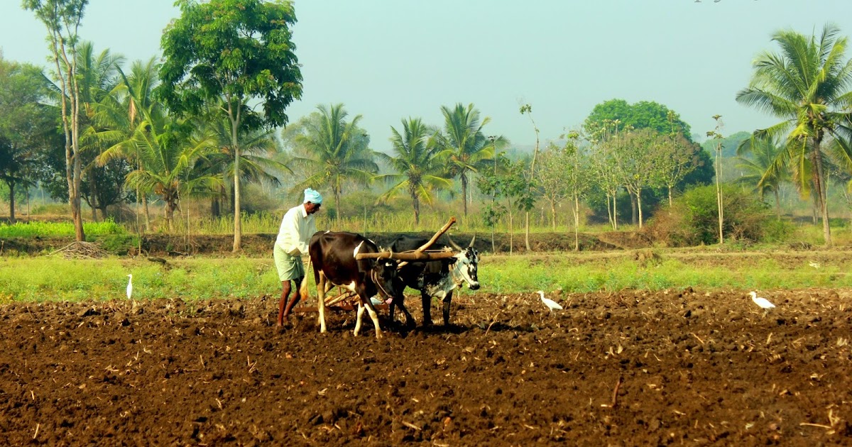 Tulunad Culture and Tradition : ನನ್ನ ಮನದಾಳವನ್ನು ಸೆಳೆದ ತುಳು ಮಣ್ಣಿನ ಕಮ್ಮೆನ!