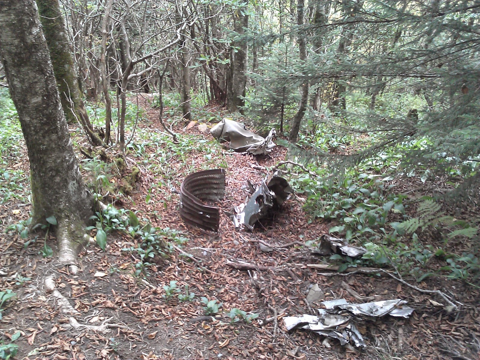 Hikes: AT (NFG to Snake Den) - Snake Den