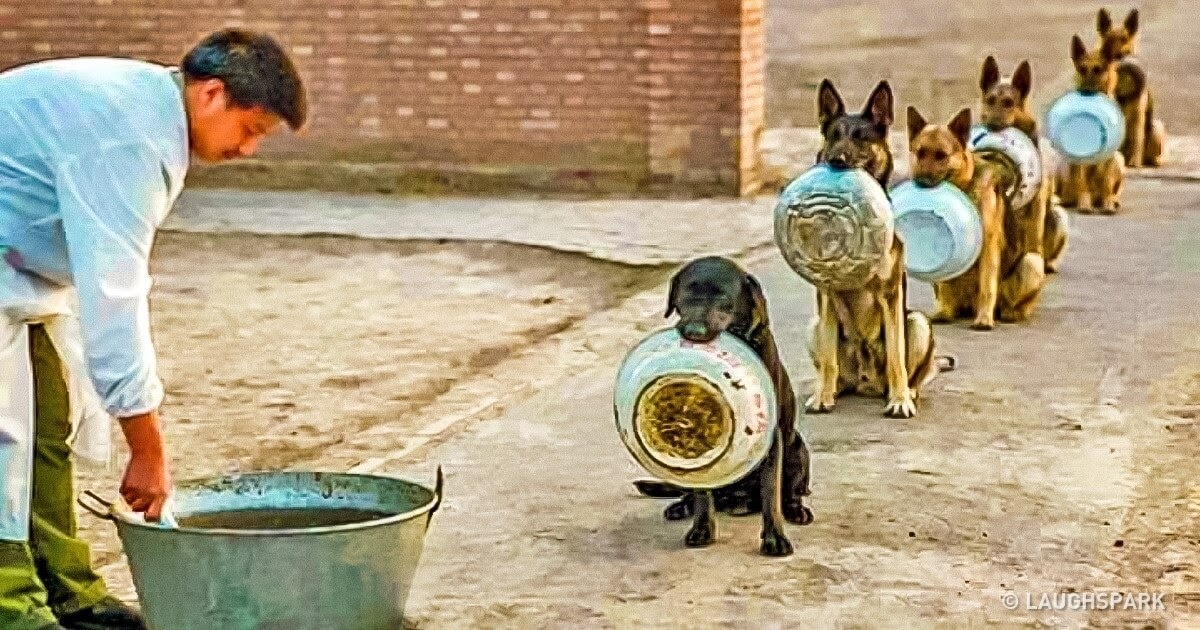 15 Touching Photos That Prove There Is More Kindness On This Planet ...