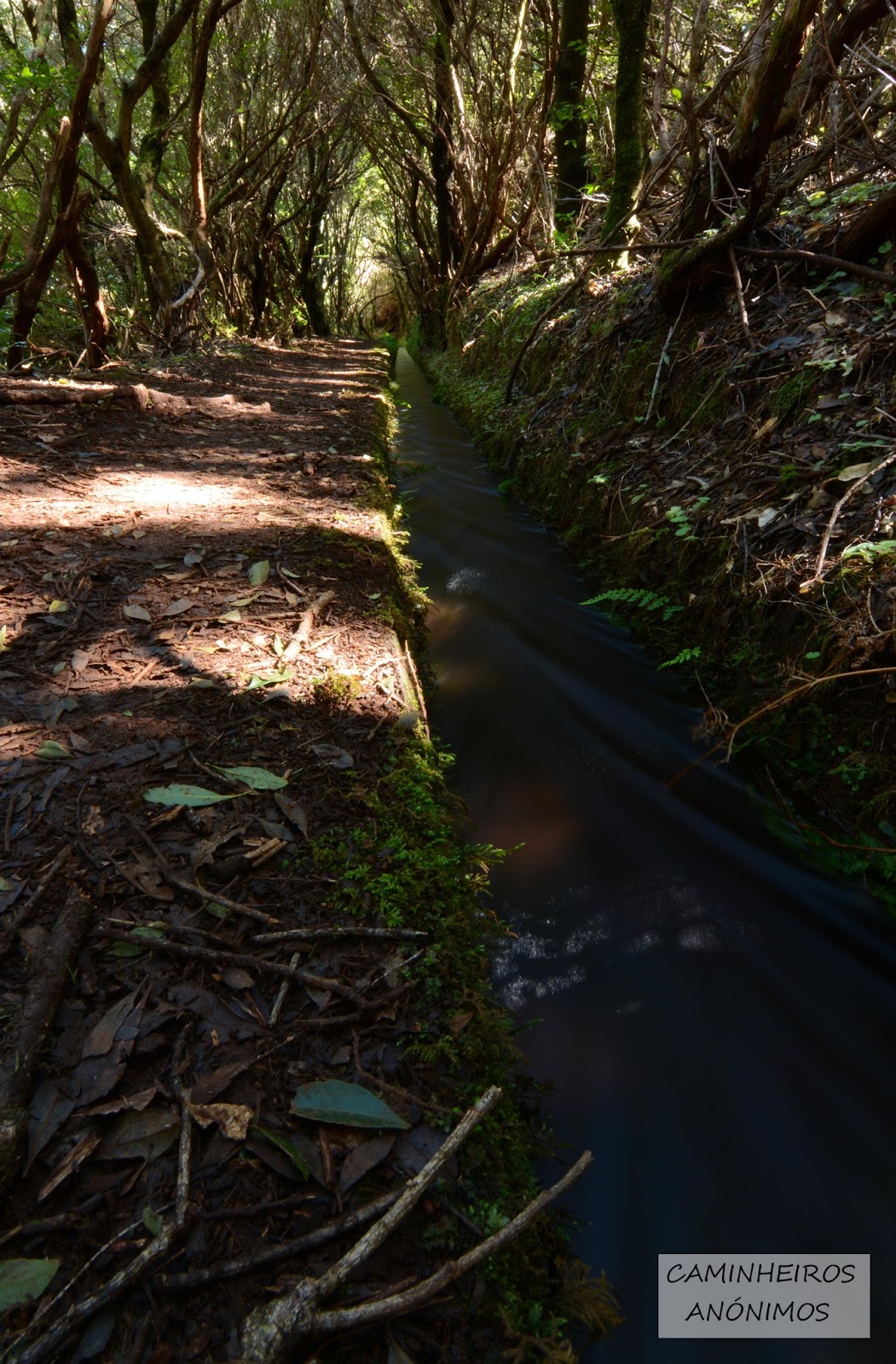 Caminheiros Anónimos Levadas da Madeira : Levada Grande (Achadas da Cruz)