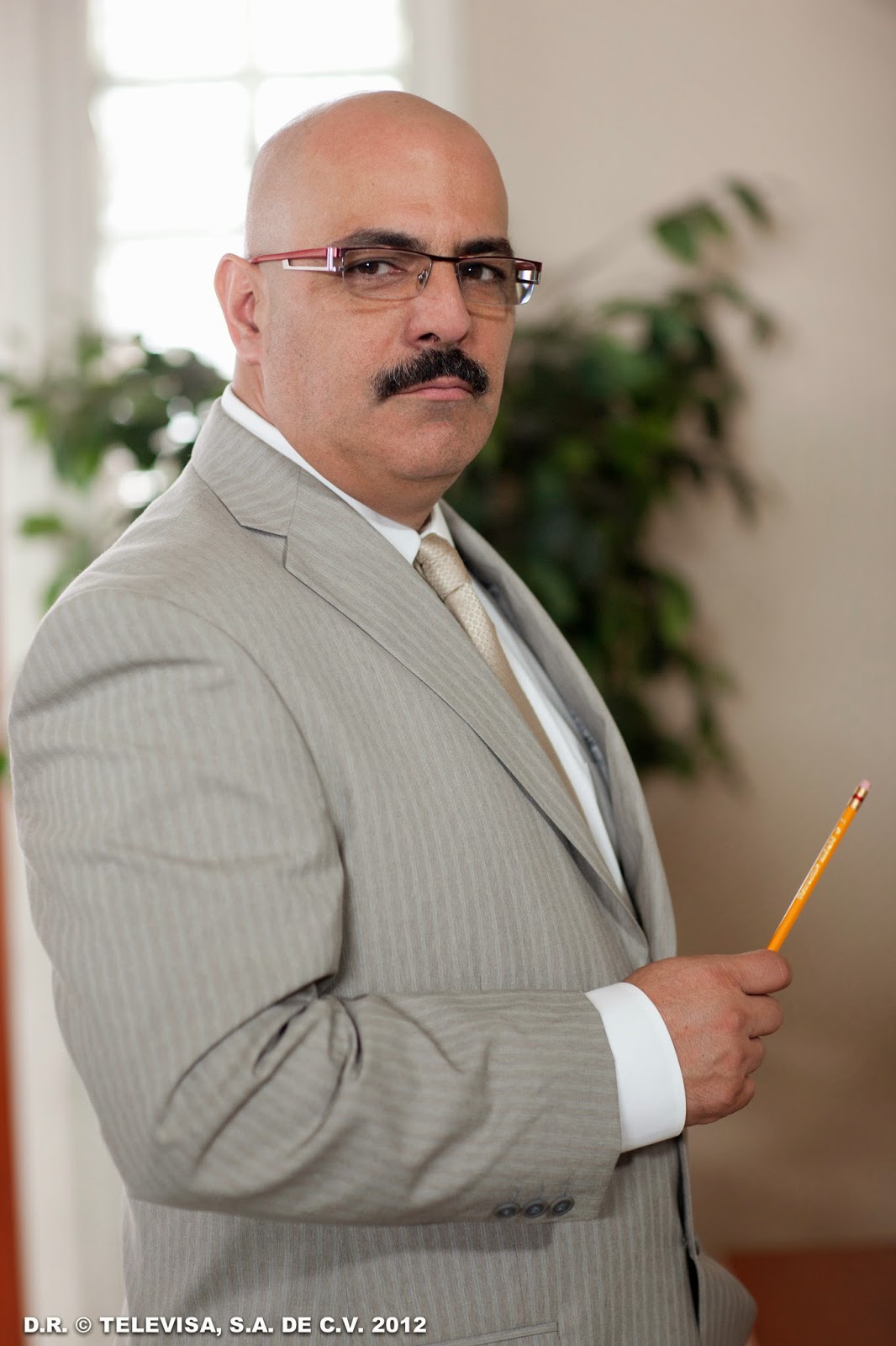 CARLOS OCHOA TV Y SUS TELENOVELAS: CORONA DE LAGRIMAS CARLOS OCHOA Y ...