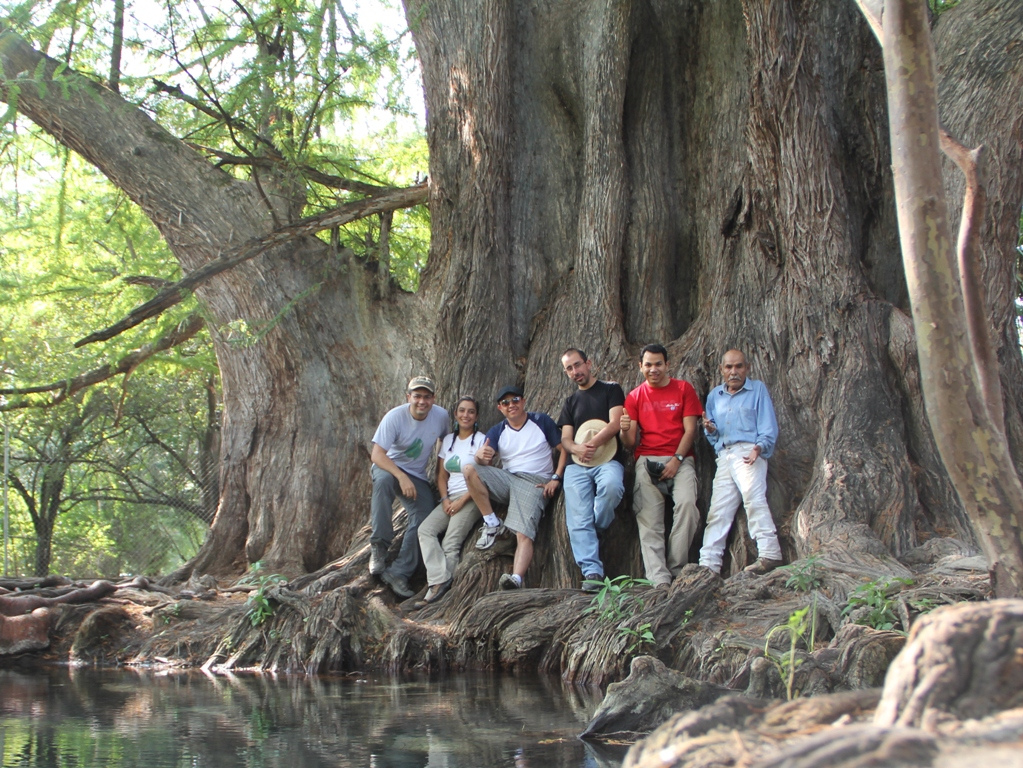 CONOCER MÉXICO POCO A POCO: - Junipero Serra, incansable misionero en ...