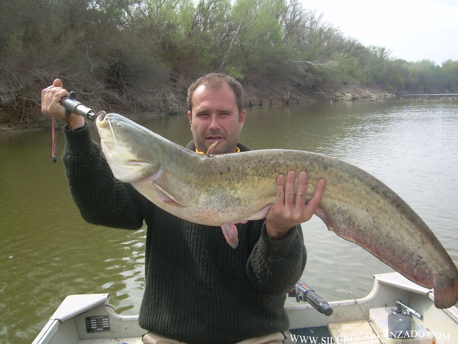 PESCA DEL SILURO EN EL EBRO: PESCA DEL SILURO AL LANCE