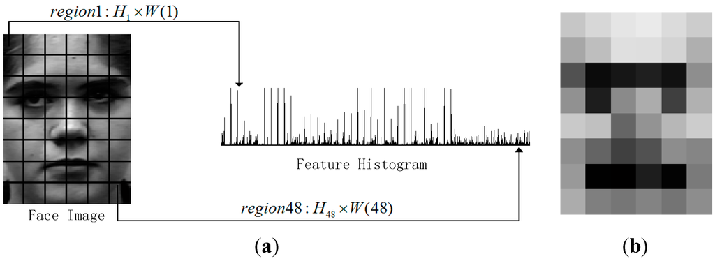 Facial Recognition Machine Learning with Python & OpenCV