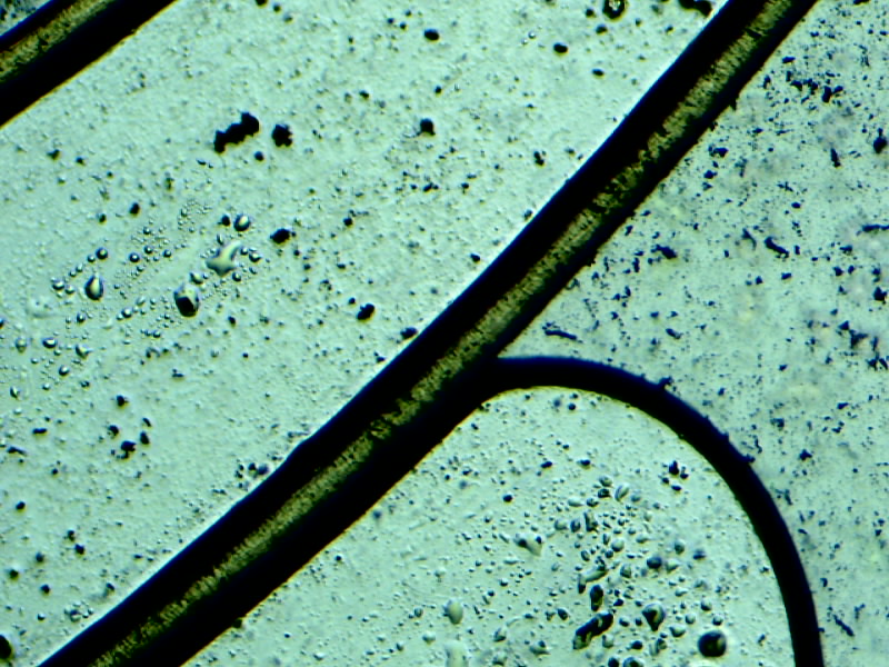 Groove is in the Art: Red hair under the microscope