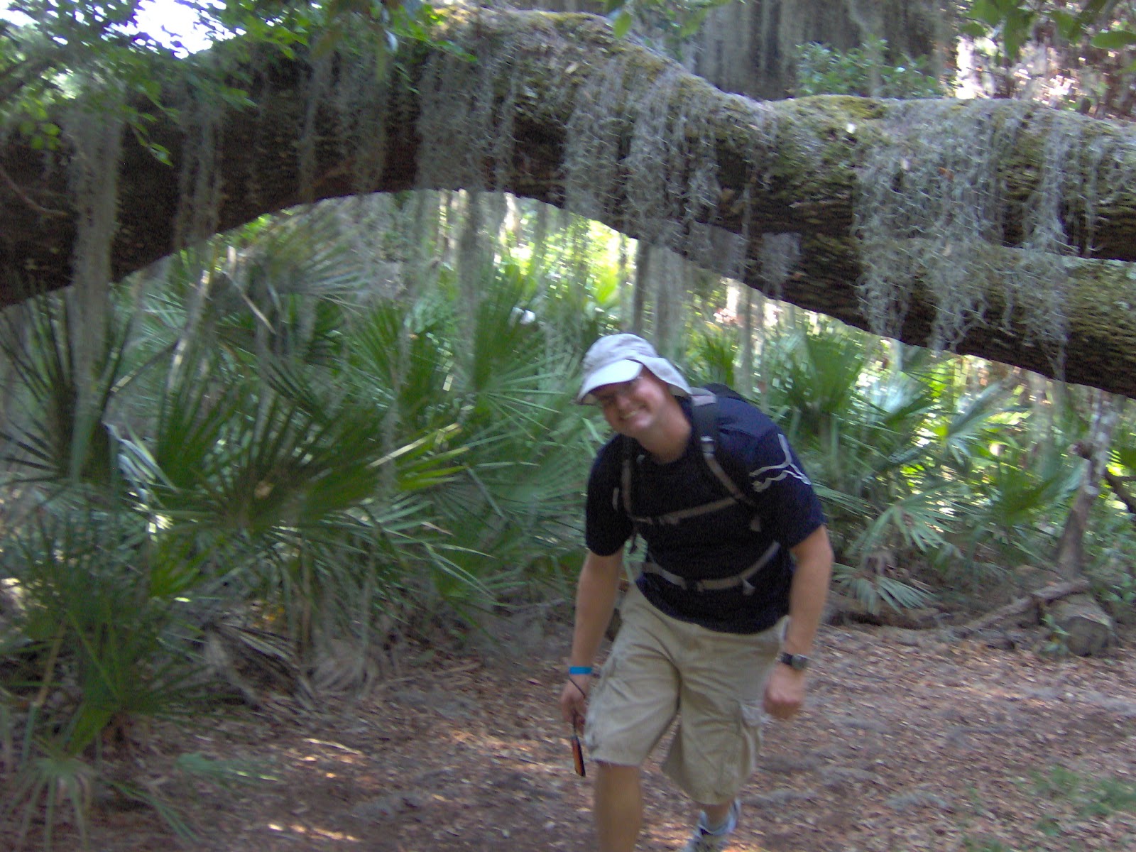 WildWildernessWalkers: Silver Glenn Springs