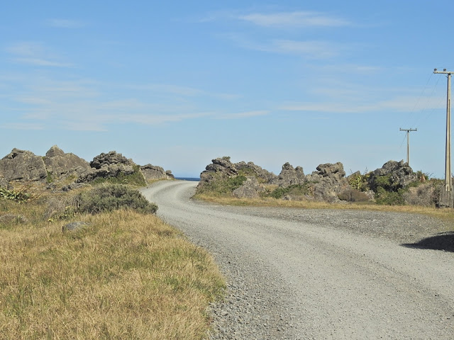 photographing New Zealand: Roadside scenes