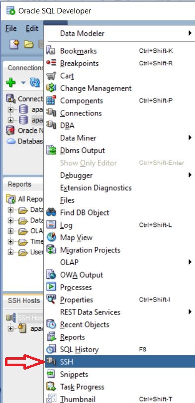Cloud@Cloud: Configure Oracle SQL Developer to Connect to Database Cloud Service Using SSH