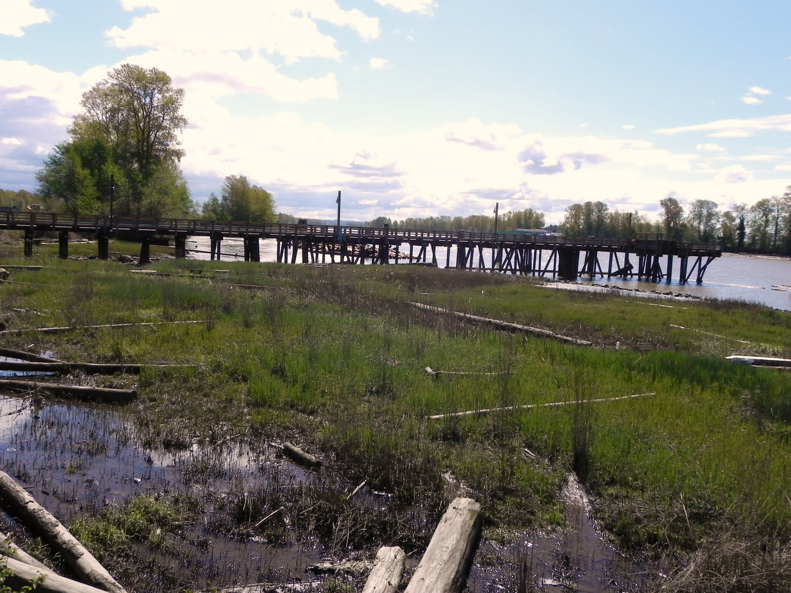 AccessEco BC: Vancouver's Fraserview Park mighty beautiful