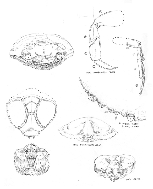 Jagten på ensomheden: Et studie i krabbe