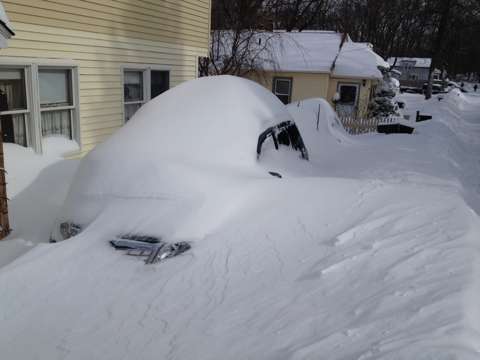 Helping Hands and Hopeful Hearts: Is Winter Over Yet