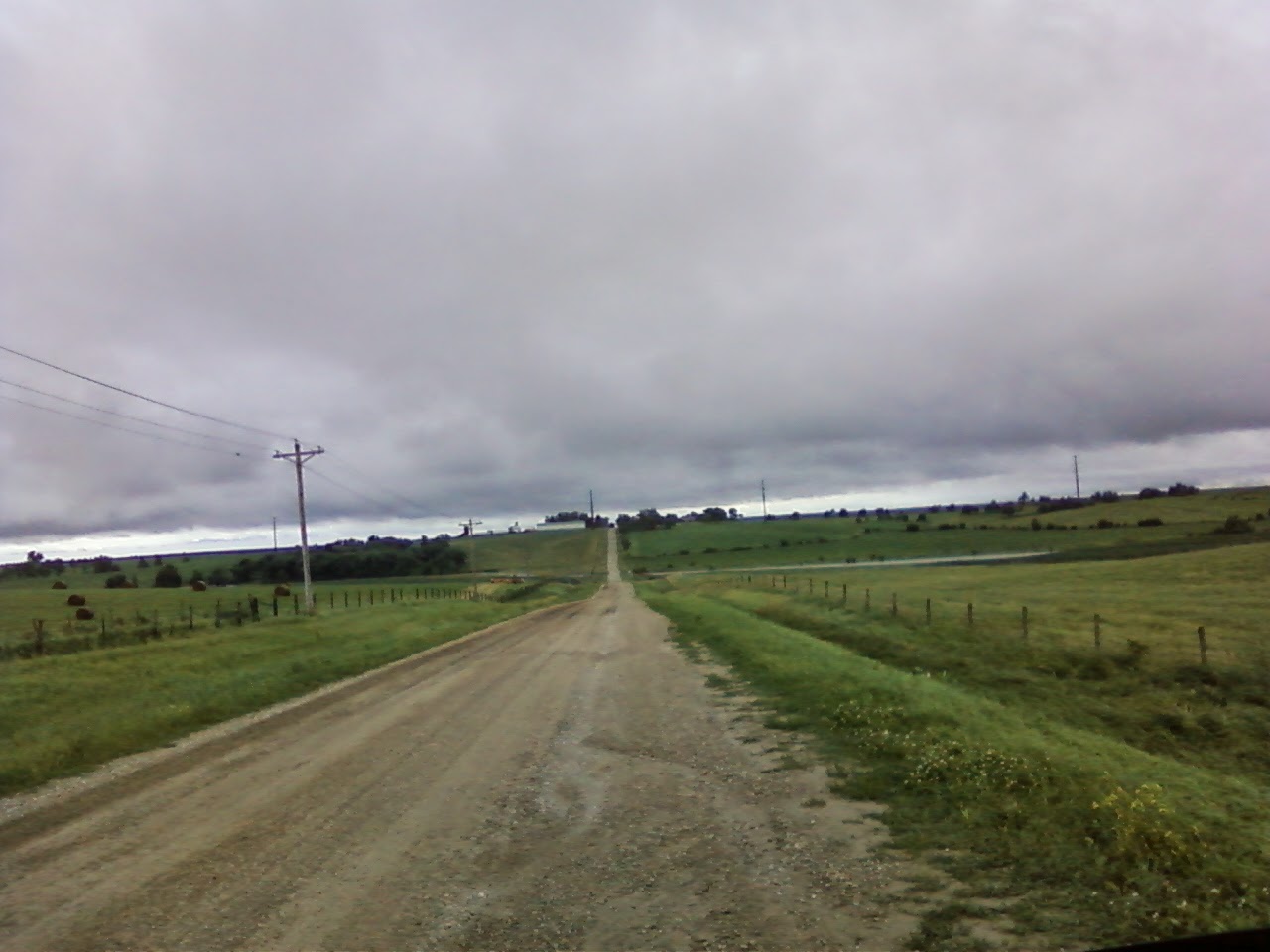 Pine View Angus Farms