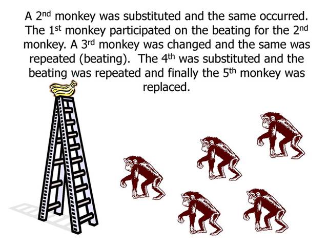 Interesting Facts: Five Monkeys Theory (Wet Monkey Theory)