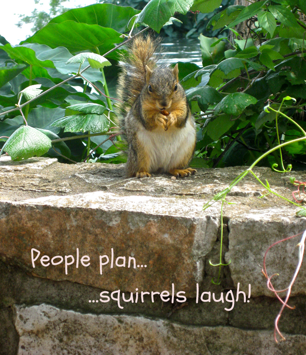 Mr.Nut Speaks: Nondual Musings of a Squirrel Messenger: May 2012