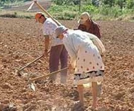 Portal Diário do Semeador: Êxodo rural cai pela metade em uma década ...