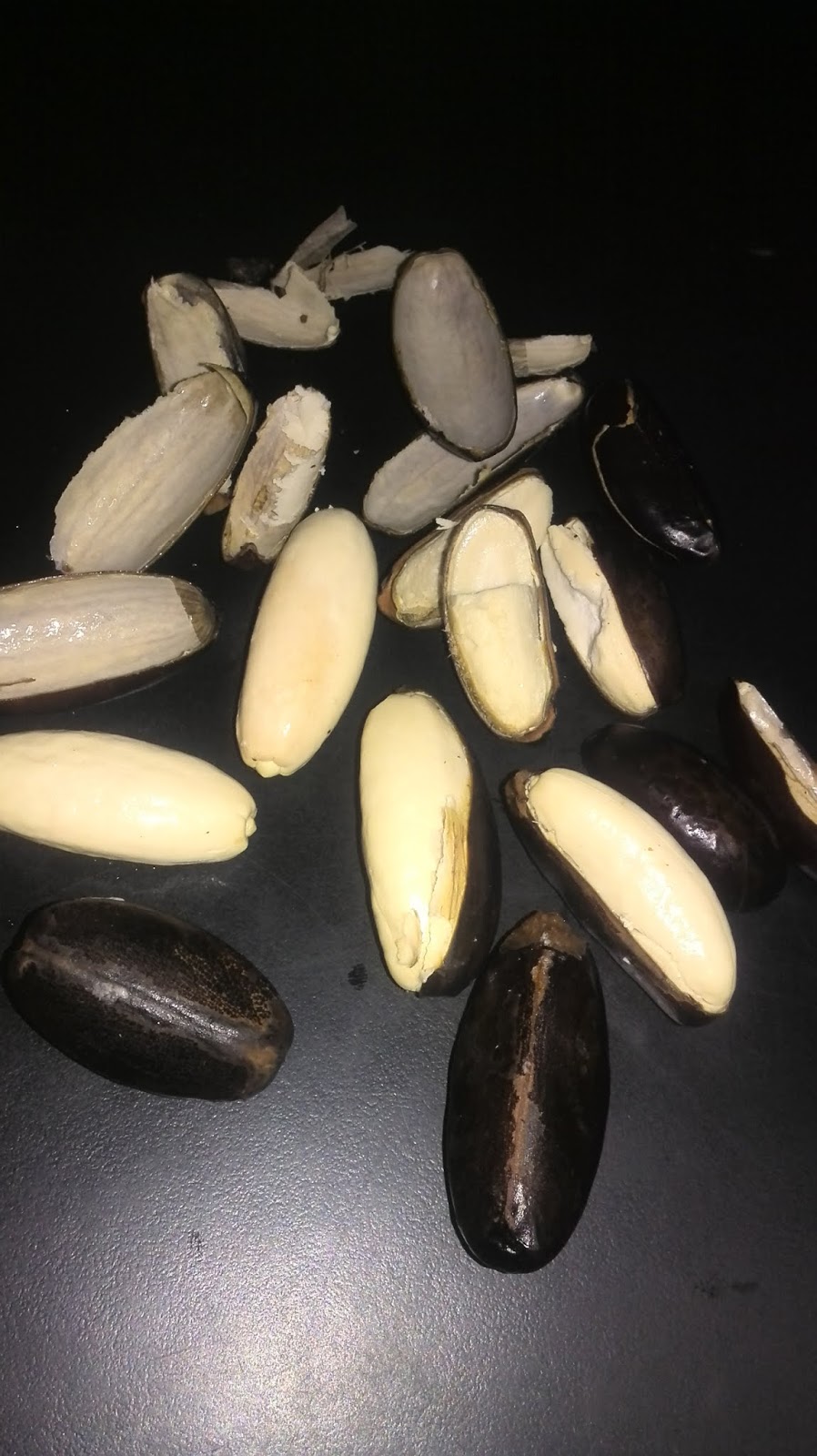 namakucella: BIJI BUAH PERAH....SEDAP KER..?