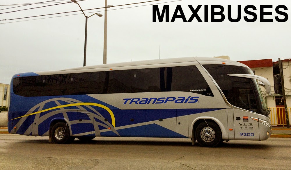MAXIBUSES: TRANSPAÍS