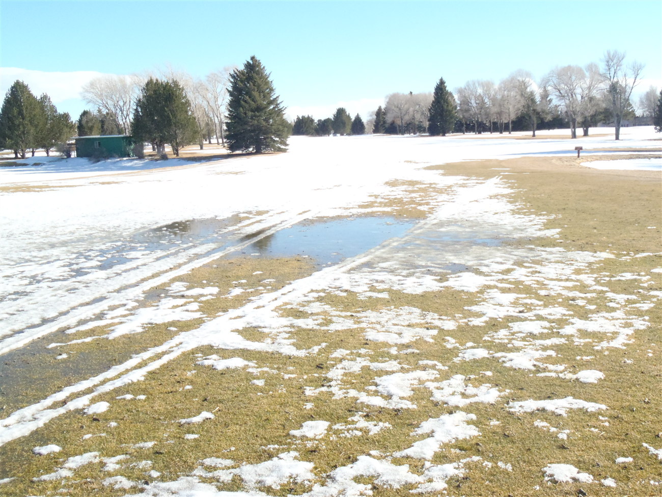 Old Baldy Club Golf Course Maintenance: Crown Hydration
