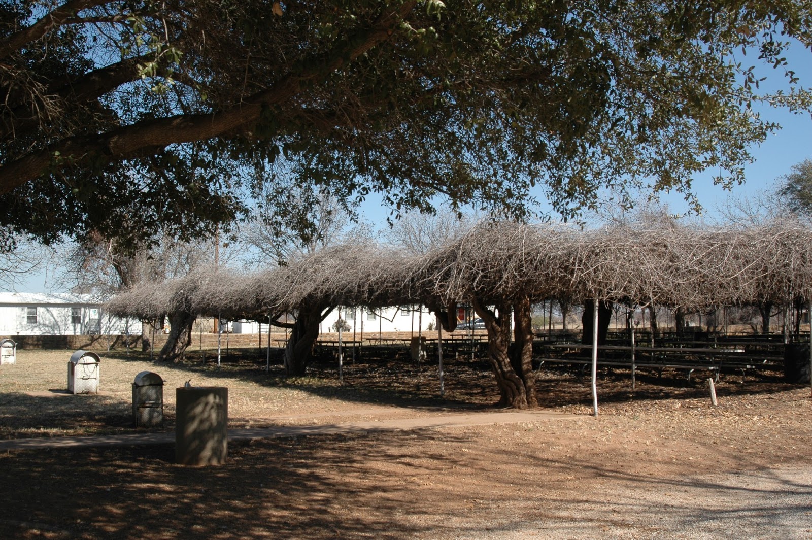 Texas Forts Trail: Fort Belknap