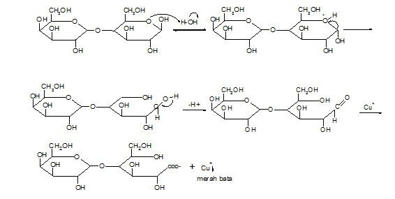 Gula reduksi dan gula non reduksi (karbohidrat -organik) - Sains Pedia
