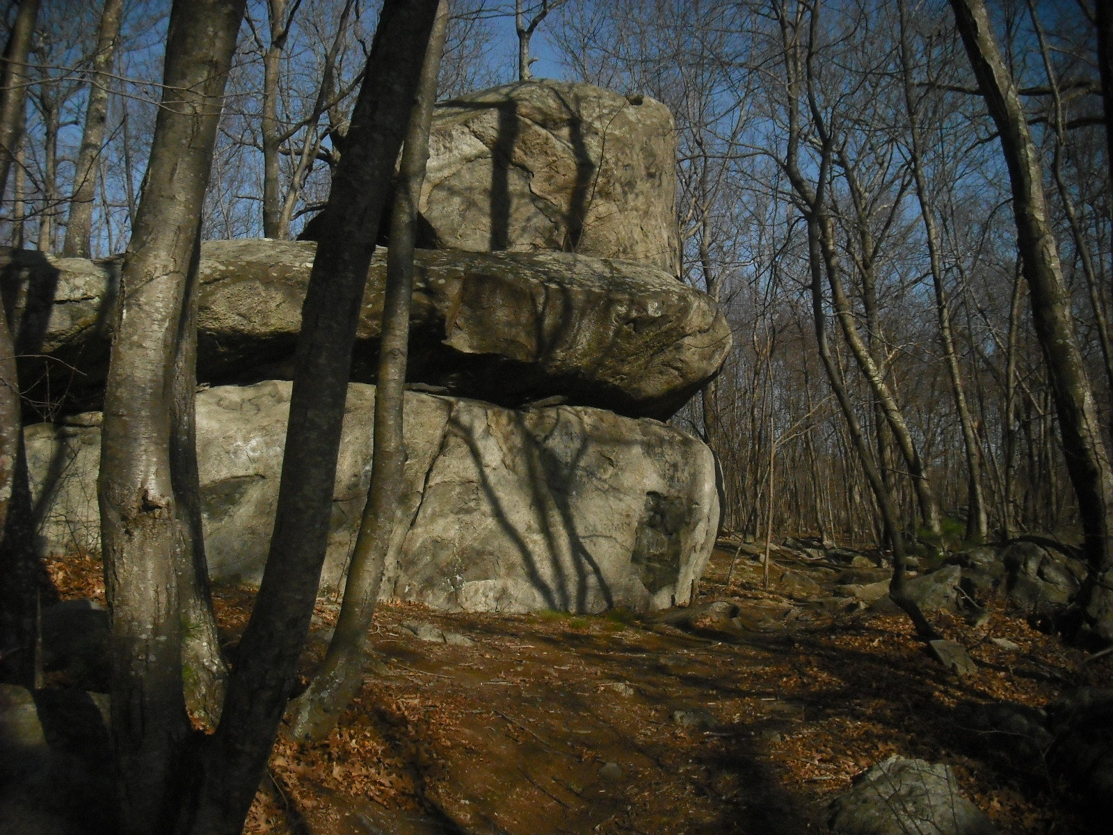 Secret Landscapes: Stone Carvings at Miantonomi's Cave