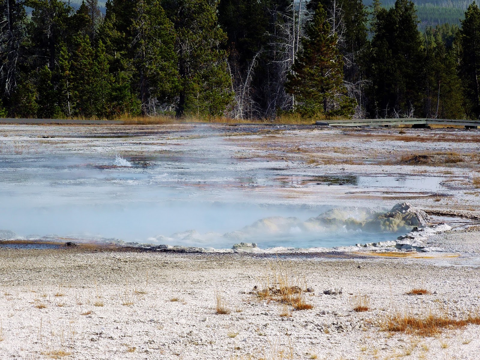 Focusing On Travel : Yellowstone: A Geyser Gazers Guide to the Upper ...