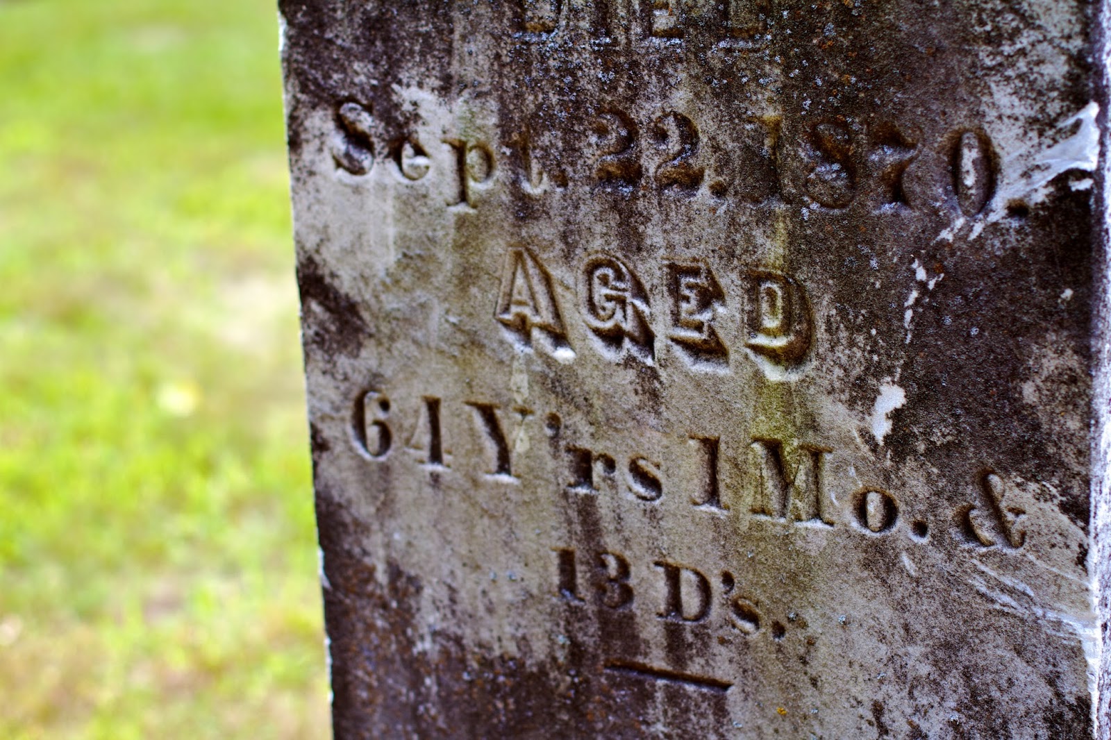 Historical Society of Greater Lansing - Gunnisonville Cemetery Walking Tour
